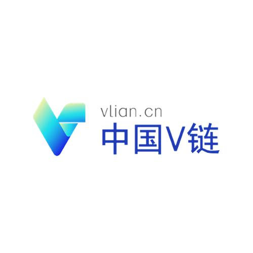 中国VX站中文版图标