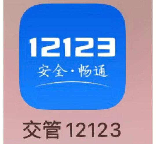 交管12123安装最新版图标