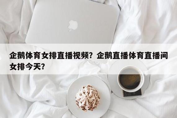 企鹅女排现场直播图标