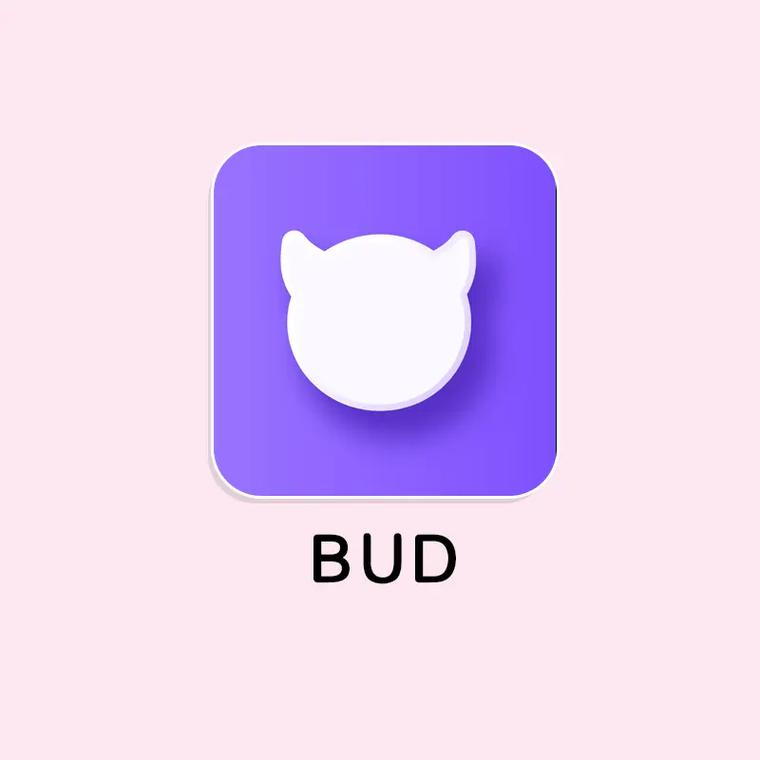 bud官方正版最新2024光环加速版图标