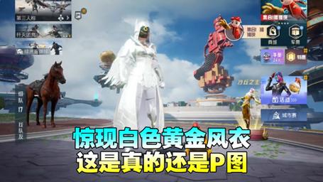 赤羽金装美化包