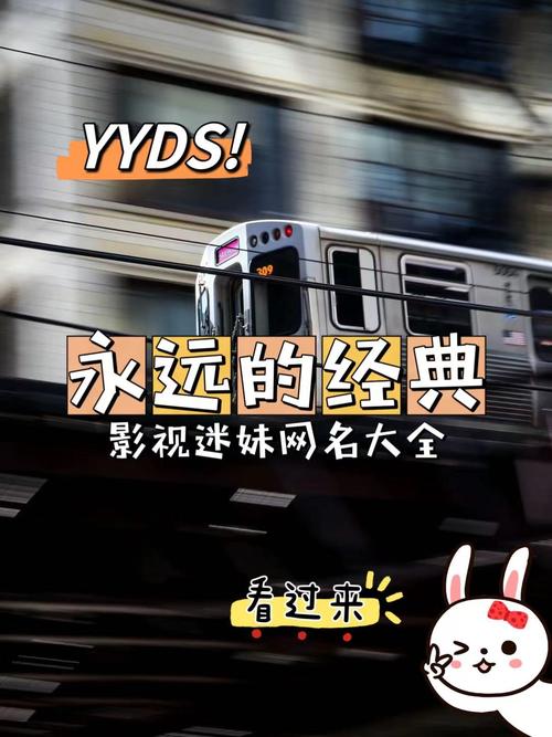 永远的经典永远的迷妹网图标