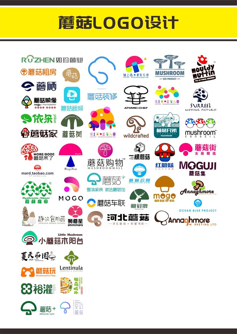 蘑菇打字永不升级版截图