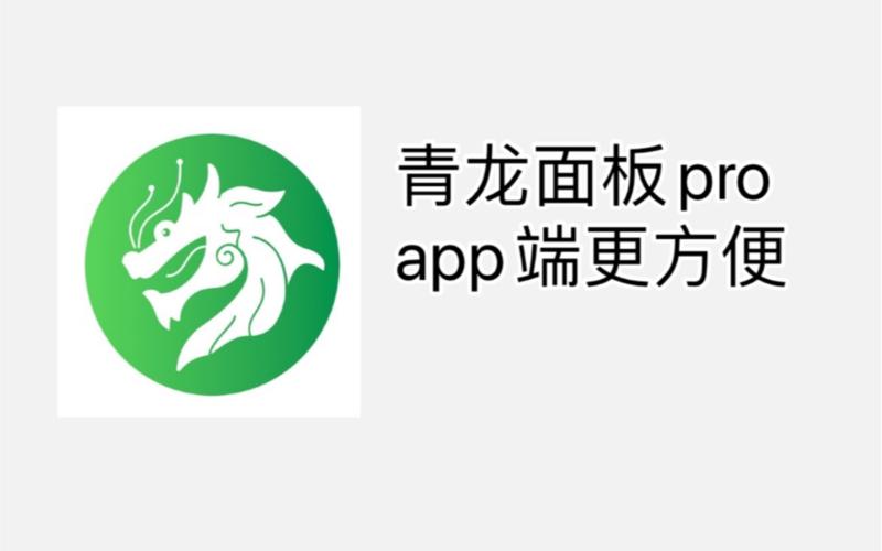 青龙直装辅助器图标