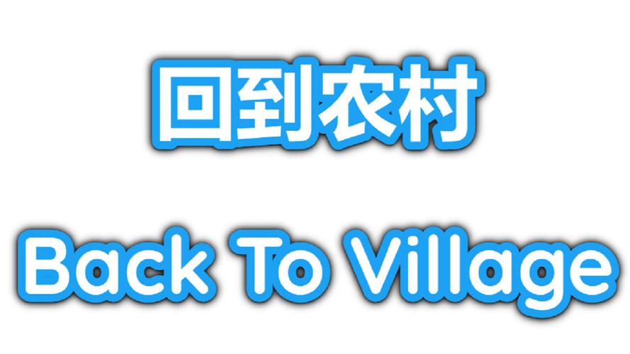 返回农村2汉化直装版截图