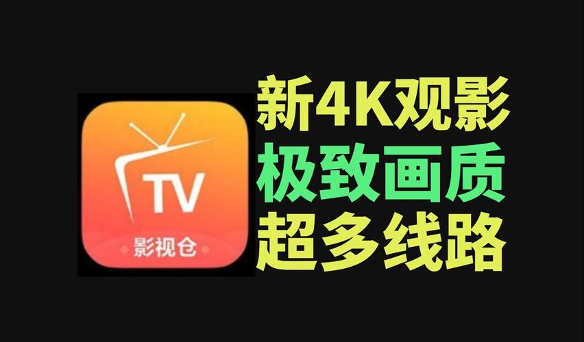 4k影视app无限版图标
