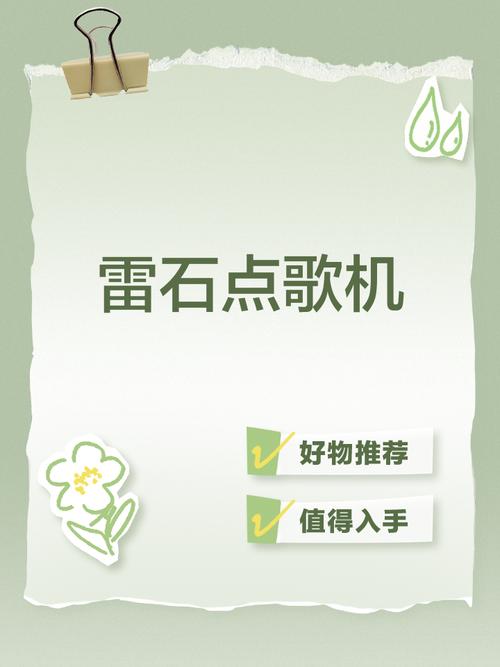 雷石点歌免费下载安装图标