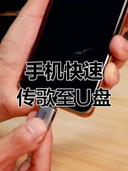 手机连u盘怎么下载歌曲截图