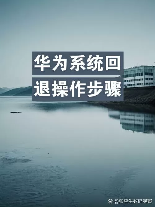 华为怎么退回原来的系统