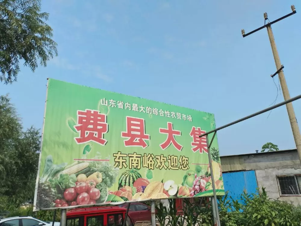 农村赶大集视频截图