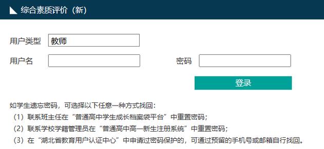 湖北综合素质评价登录入口图标