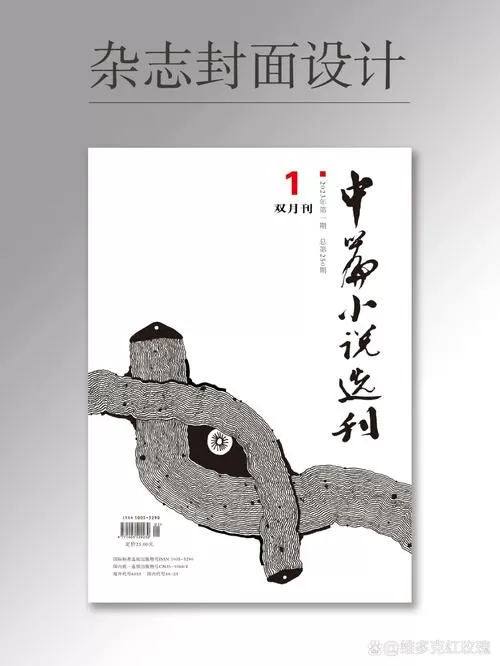中篇小说选刊电子版截图