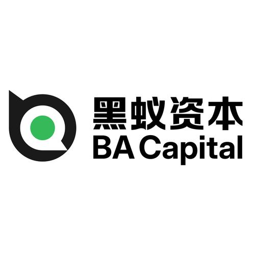 黑蚁脚本官网图标