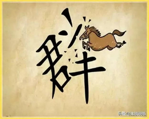 老乡猜成语图标