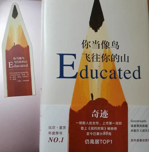 当鸟小说图标