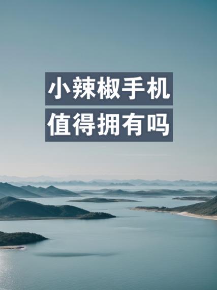 小辣椒手机怎么开启无障碍模式图标