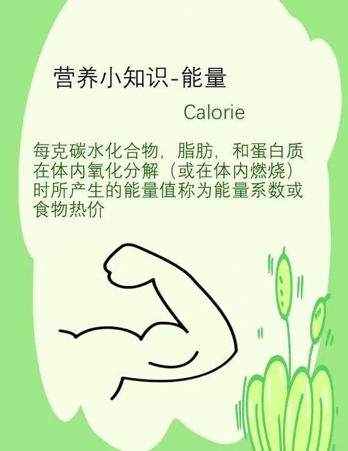 怎么计算每日摄入能量图标