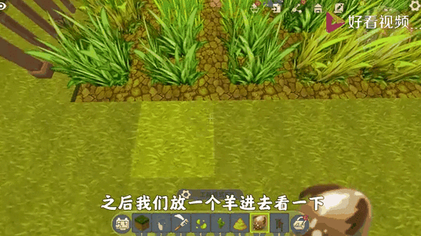 迷你世界怎么换草地截图