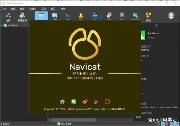 navicatpremium破解版图标