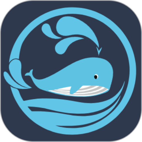 白鲸加速器官网破解版截图