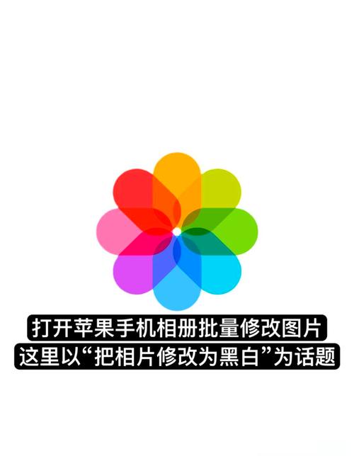 iphone 更换照片底色截图