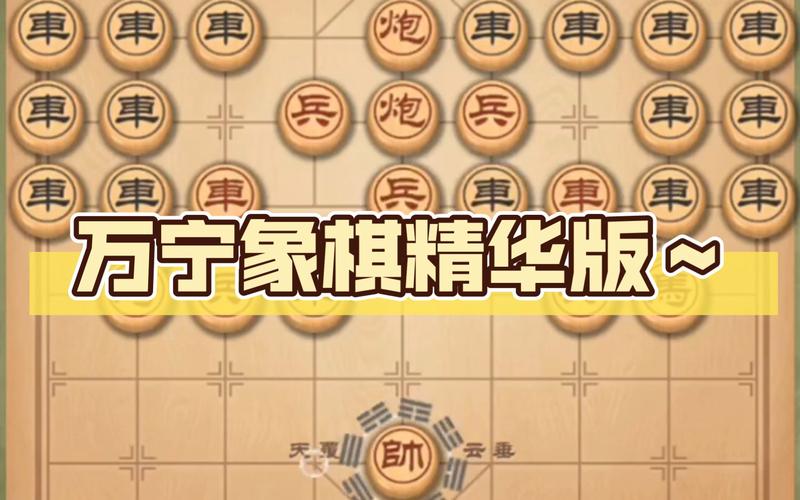 万宁象棋精华版图标