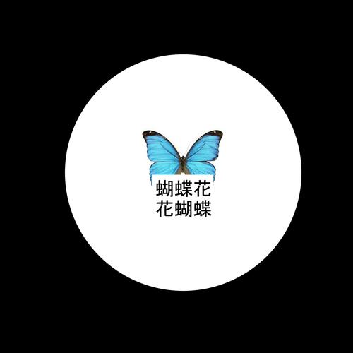 花蝴蝶2019直播永久会员版截图