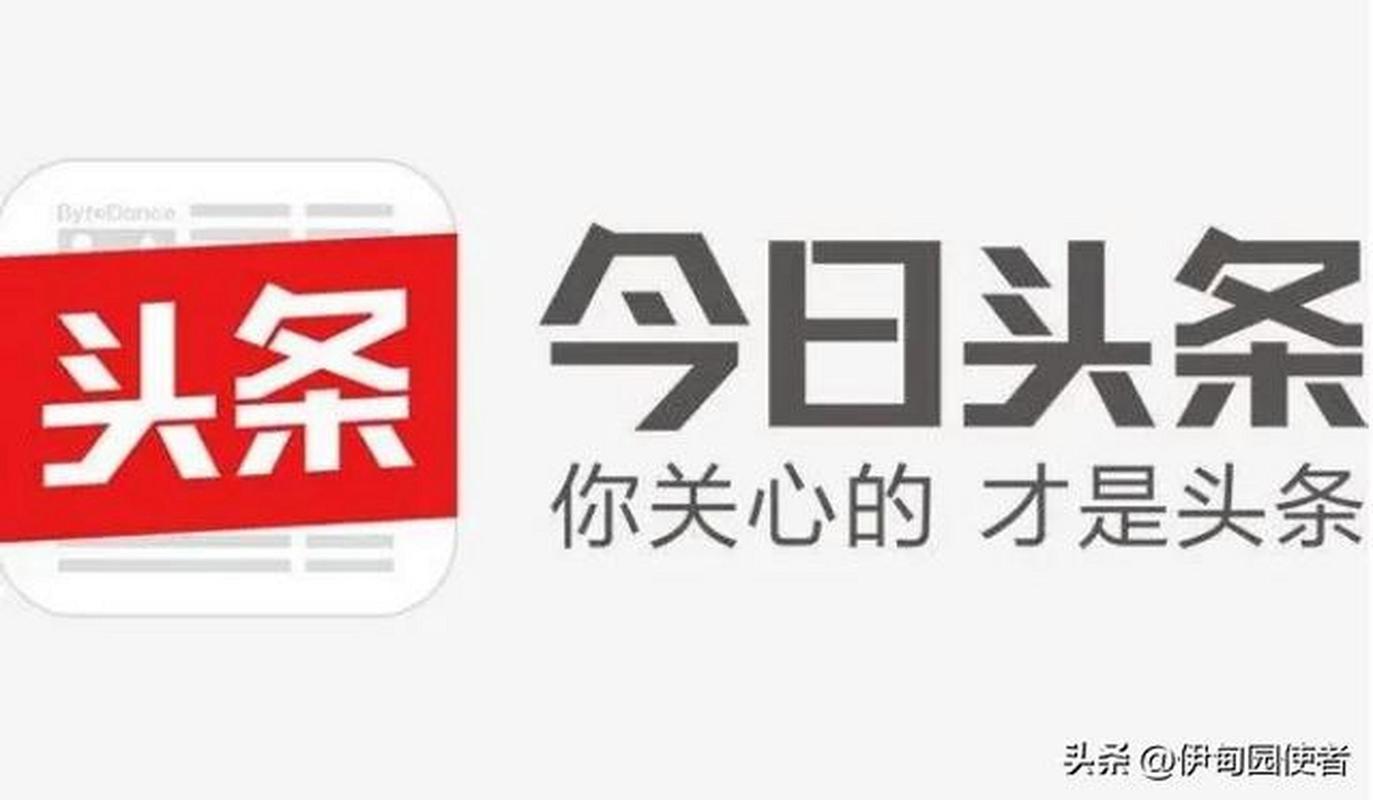今日头条爆文素材库安卓版图标