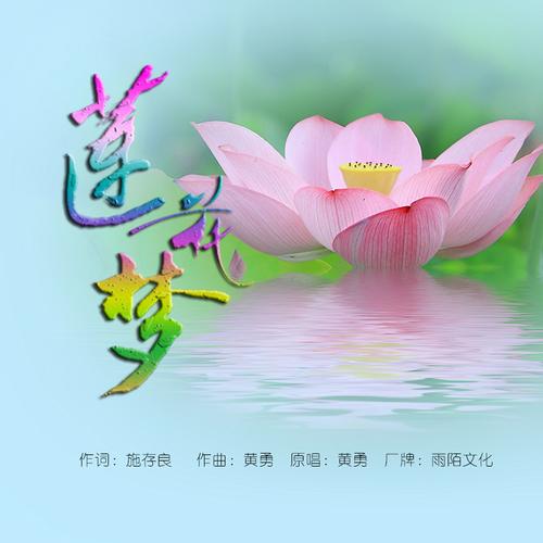 莲花梦迟TXT图标