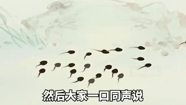 小蝌蚪105旧版本