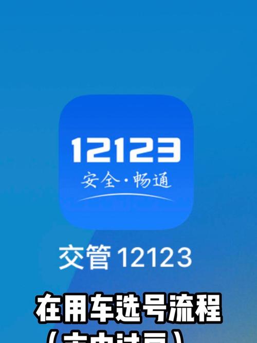 德州交管12123官网安卓版图标