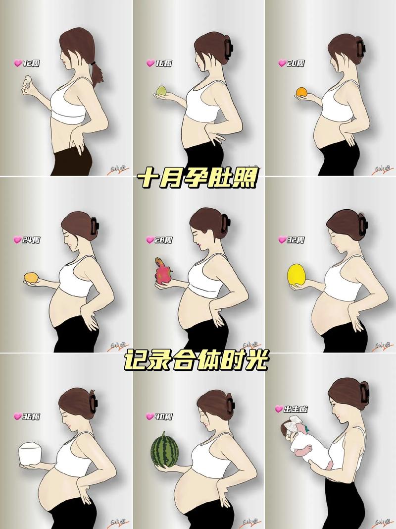 怀孕的人的肚子变化图片大全视频图标