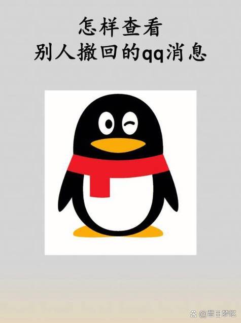 QQ防撤回破解版截图