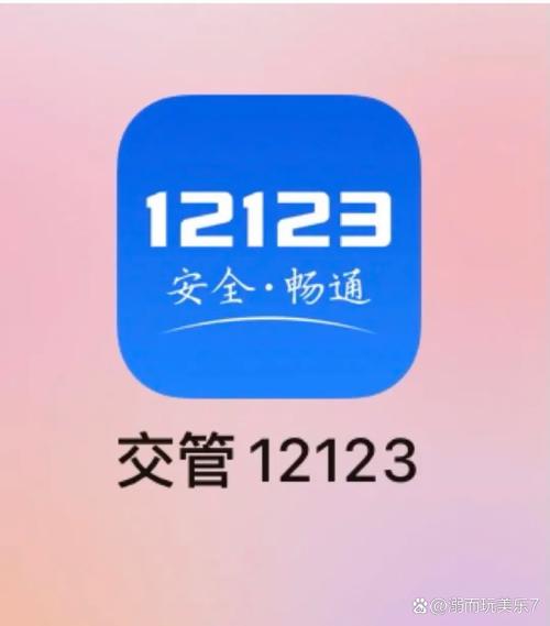虚拟生成交管12123约会版截图