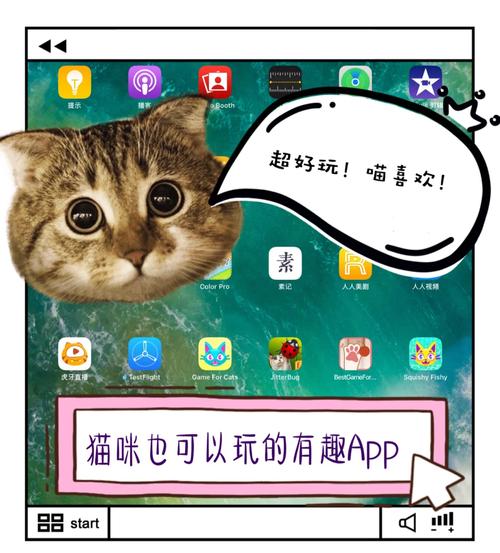 猫咪游戏助手官网精产国品免费老版图标