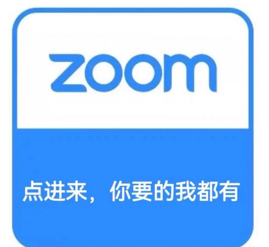 Zoom截图