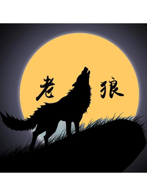 继续播放老狼电影在线观看截图