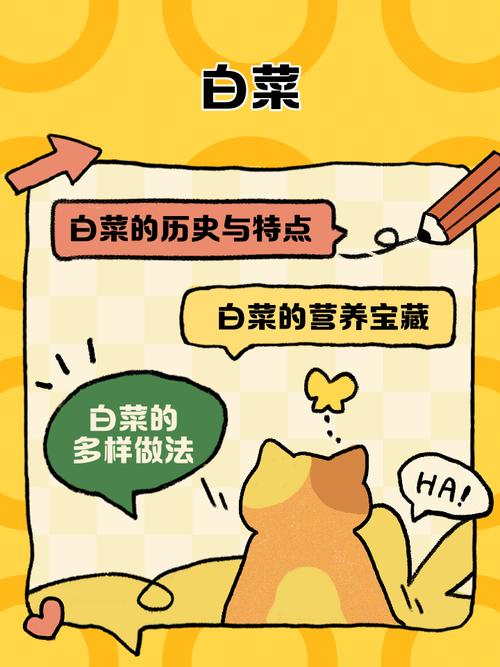 白菜阅读理解及答案图标