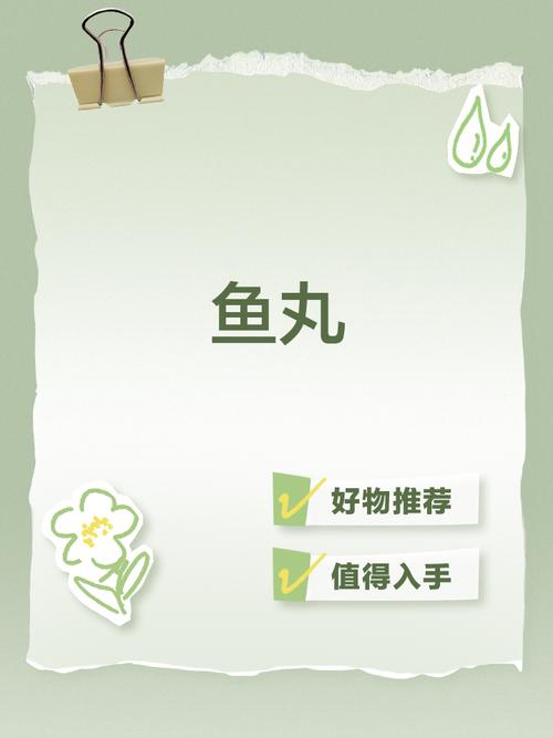 小鱼丸科技直装安装免广告