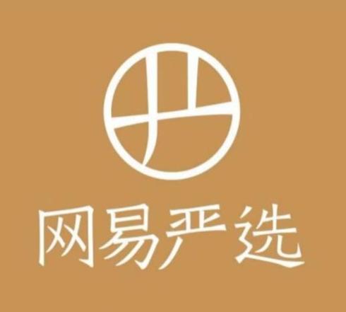 严选动漫官方网站入口截图