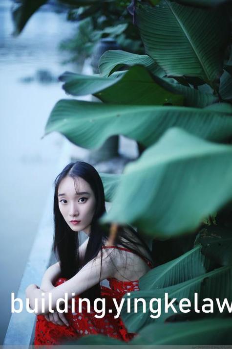 木叶培训师汉化版中文最新版图标