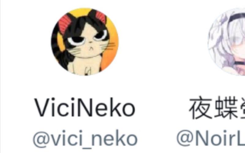 VICINEKO