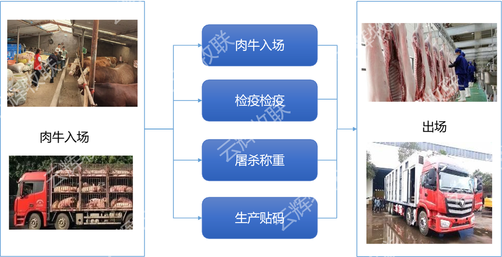 塔斯牧联截图