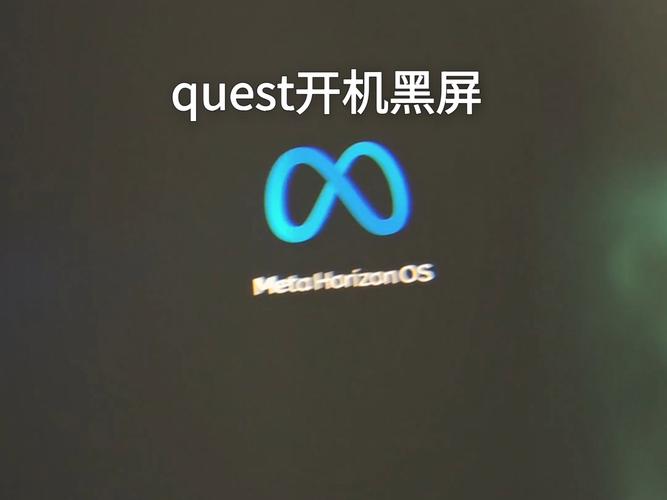 vr软件闪退截图