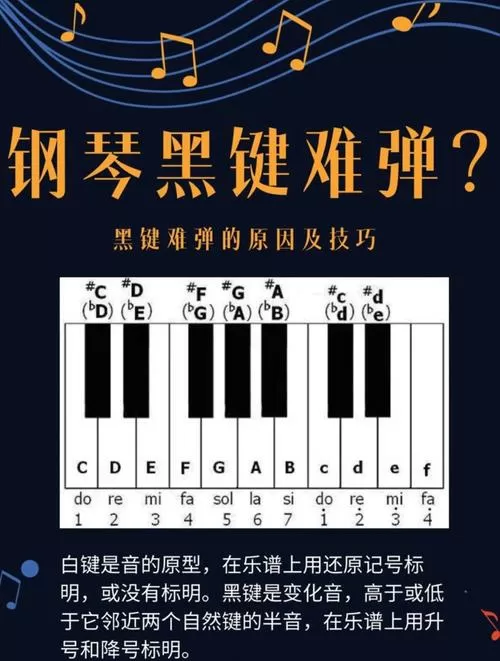 钢琴键盘为什么是黑色和白色图标