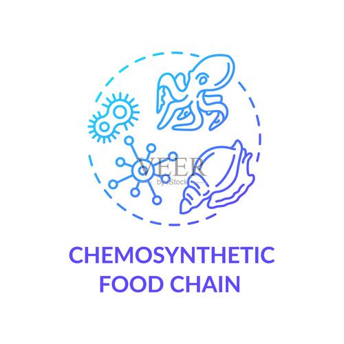 食物链的能量传递效率截图