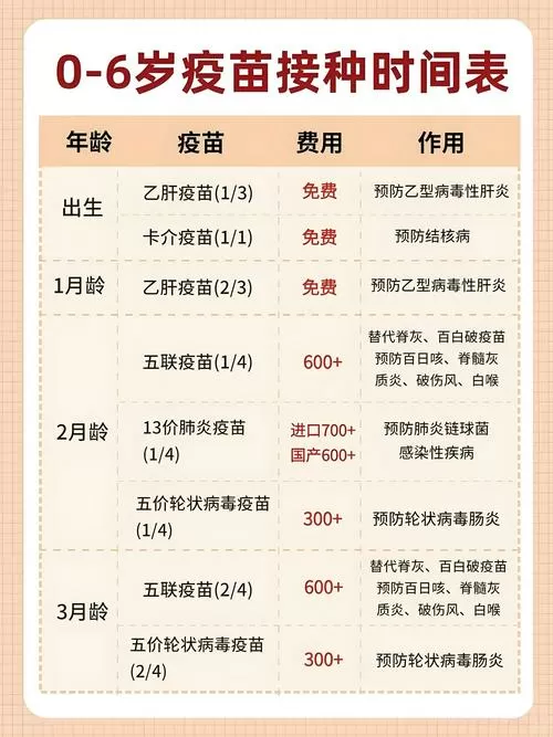 儿童疫苗接种一览表图标