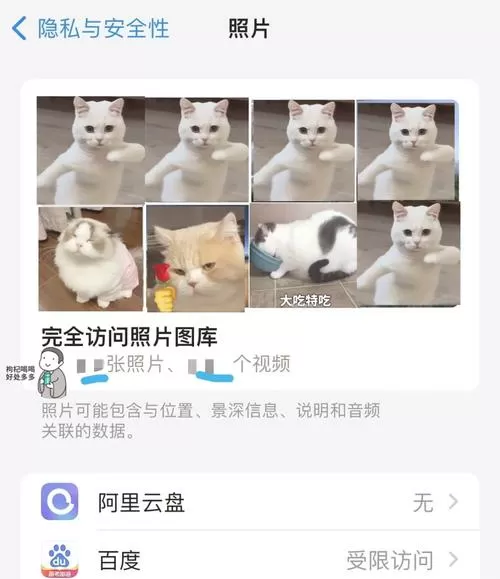 苹果开启相册权限在哪里