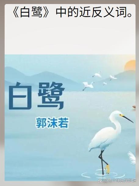 李白的诗白鹭鸶