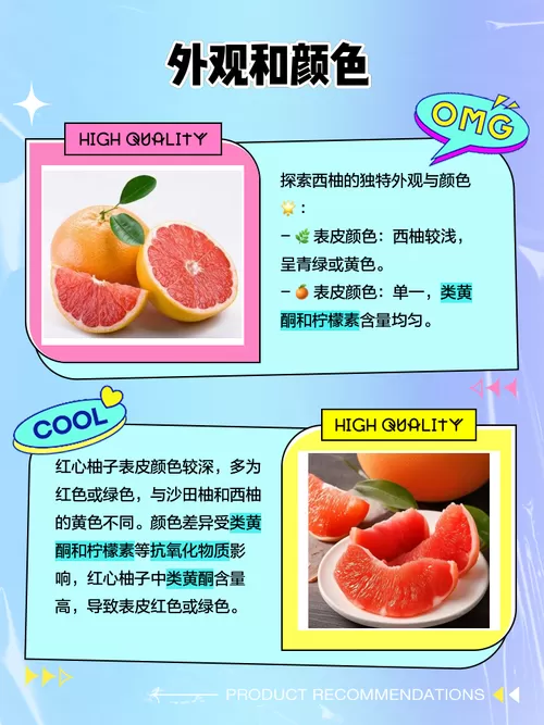 红柚和柚子的区别图片图标